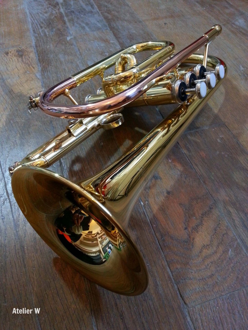 atelier_w_cornet_rosetti_01