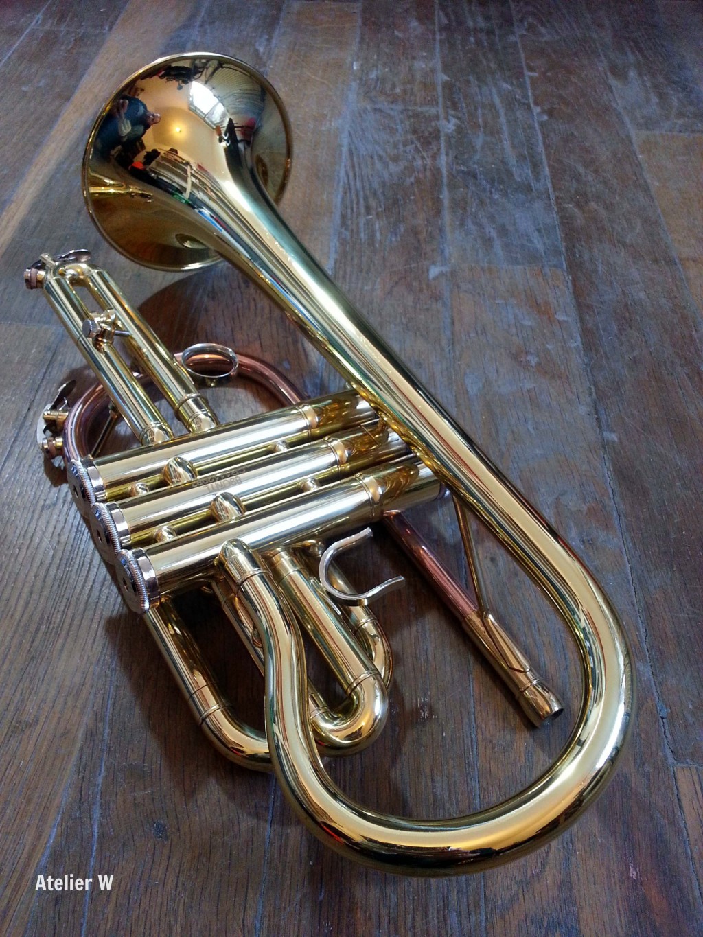 atelier_w_cornet_rosetti_05