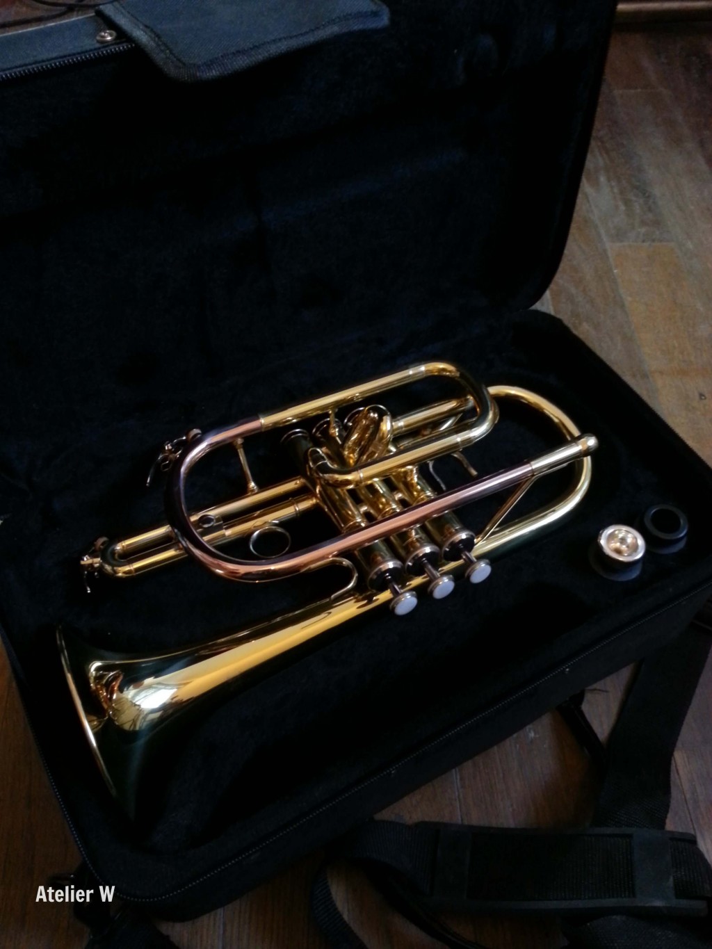 atelier_w_cornet_rosetti_10