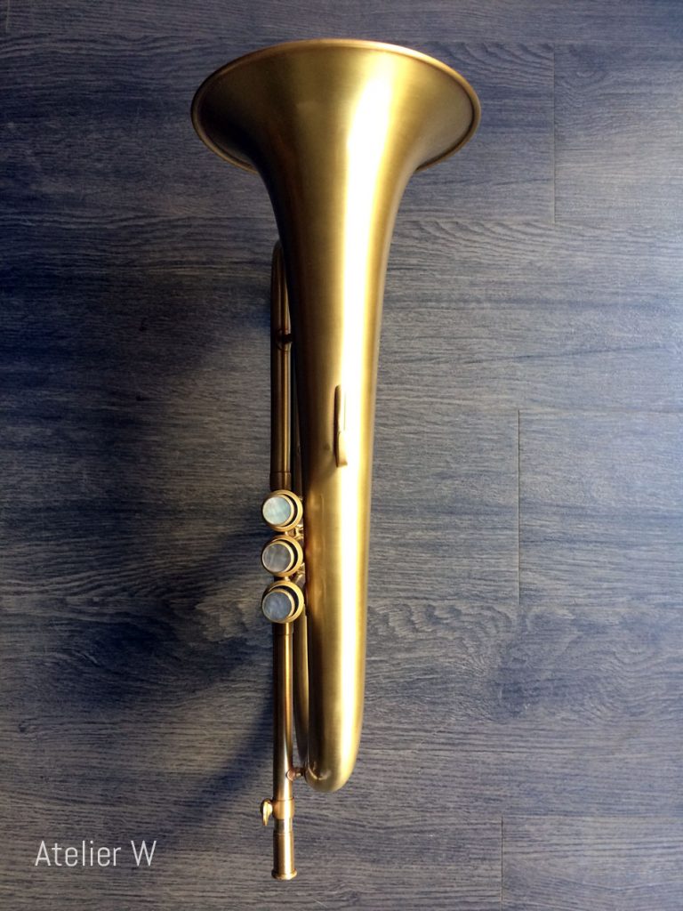 bugle_couesnon_monopole_01